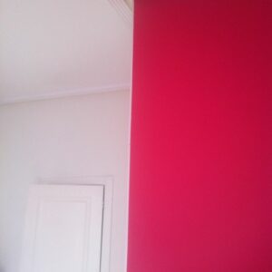 Color Rosa Frambuesa | PINTURAS URBANO - PINTORES EN MADRID – PINTOR EN ...